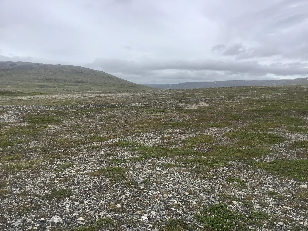 Kalkrik rabbe - miljodirektoratet.no